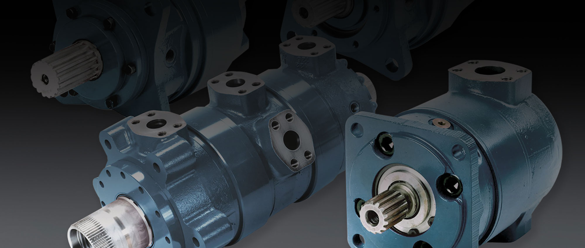 We Sustain • QCC LLC